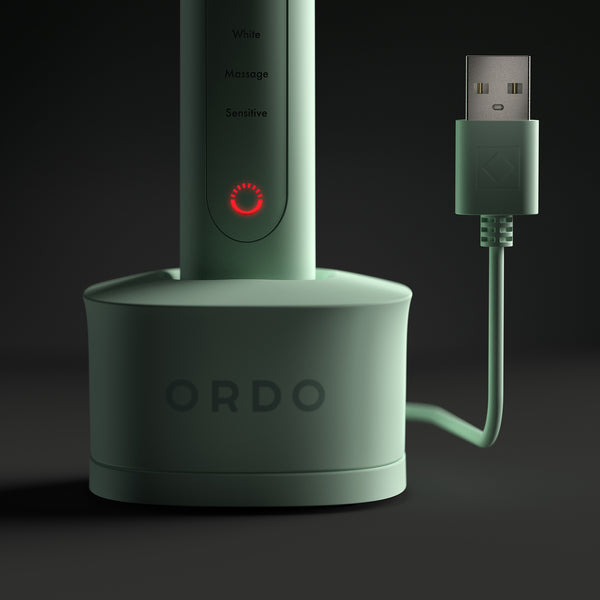 Ordo Sonic+ Electric Toothbrush & Charging Travel Case - Mint Green ...